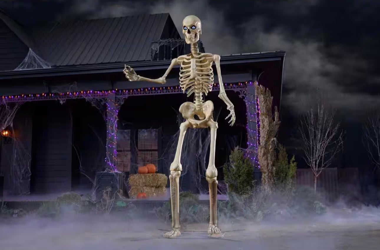 12 Foot Skeleton | Merry and Spooky